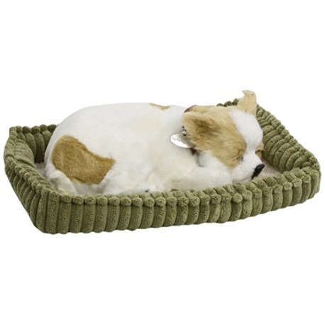 Perfect Petzzz 4906 – Plush – Dog Chihuahua